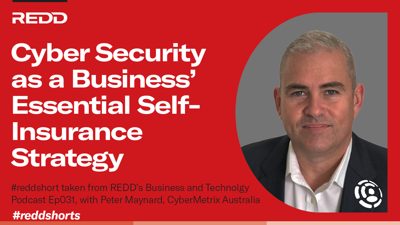 Cyber Security as a Business' Essential Self-Insurance Strategy - REDD